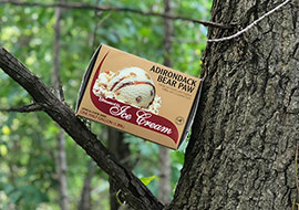 Adirondack Bear Paw - Stewart's Shops