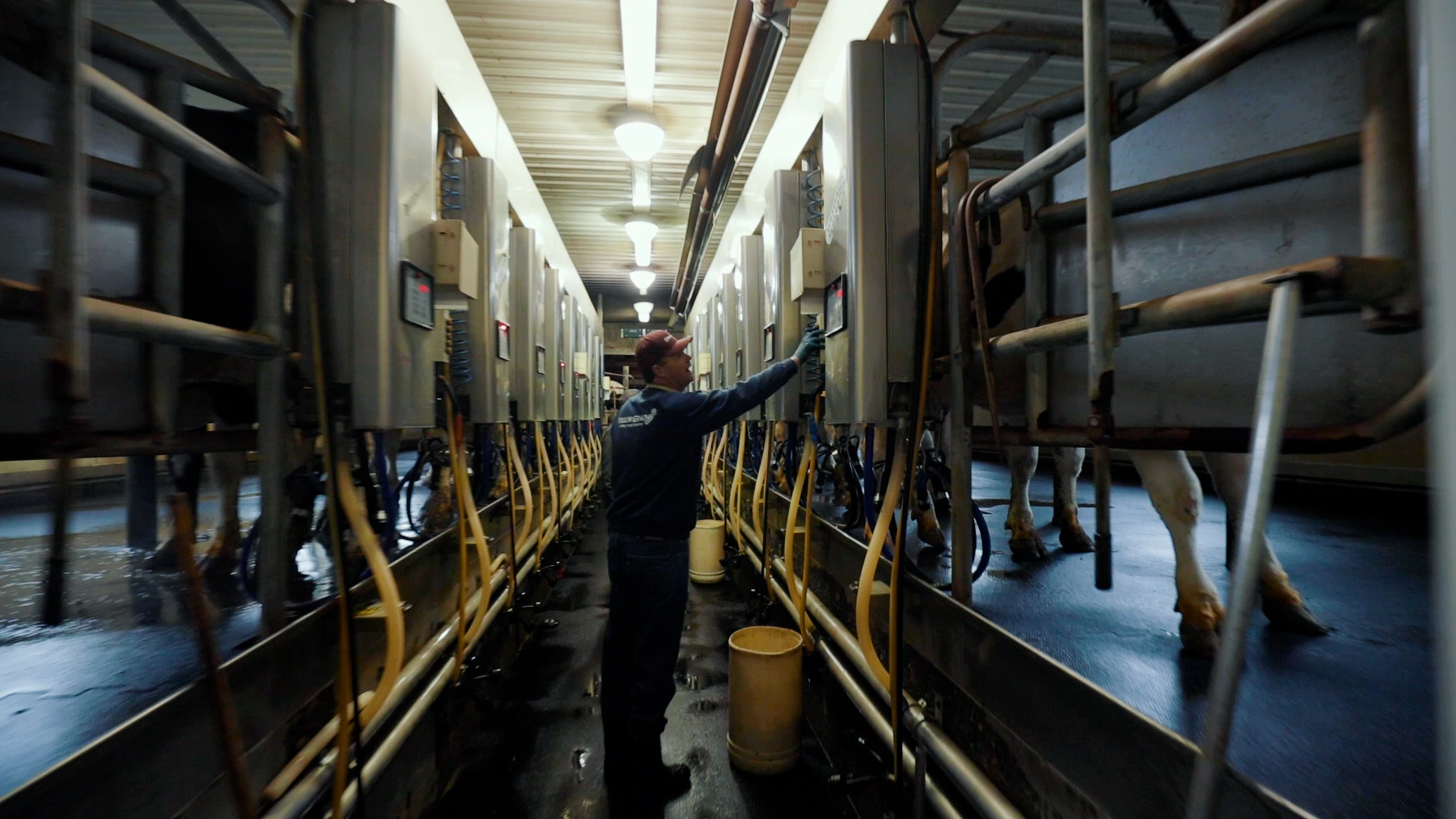 The BEST Milk comes from the BEST Dairy Farms: Spotlight on Award ...